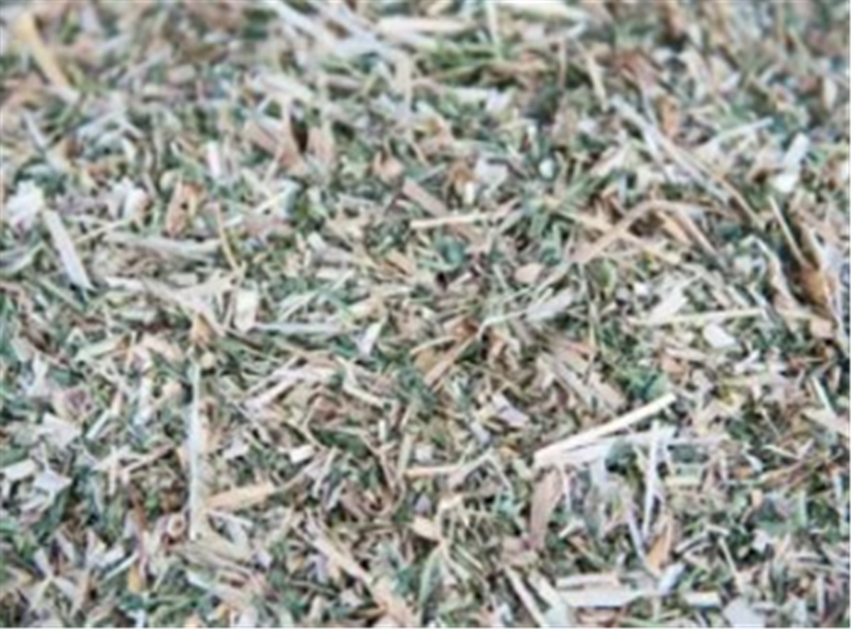 Chaff - Show Pony 25kg – Yolla Co-Op