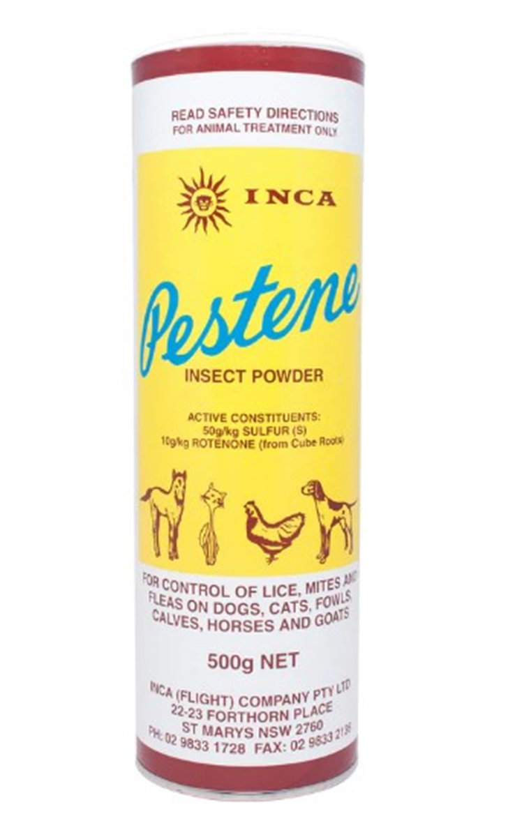 Pestene Powder 500g – Yolla Co-Op