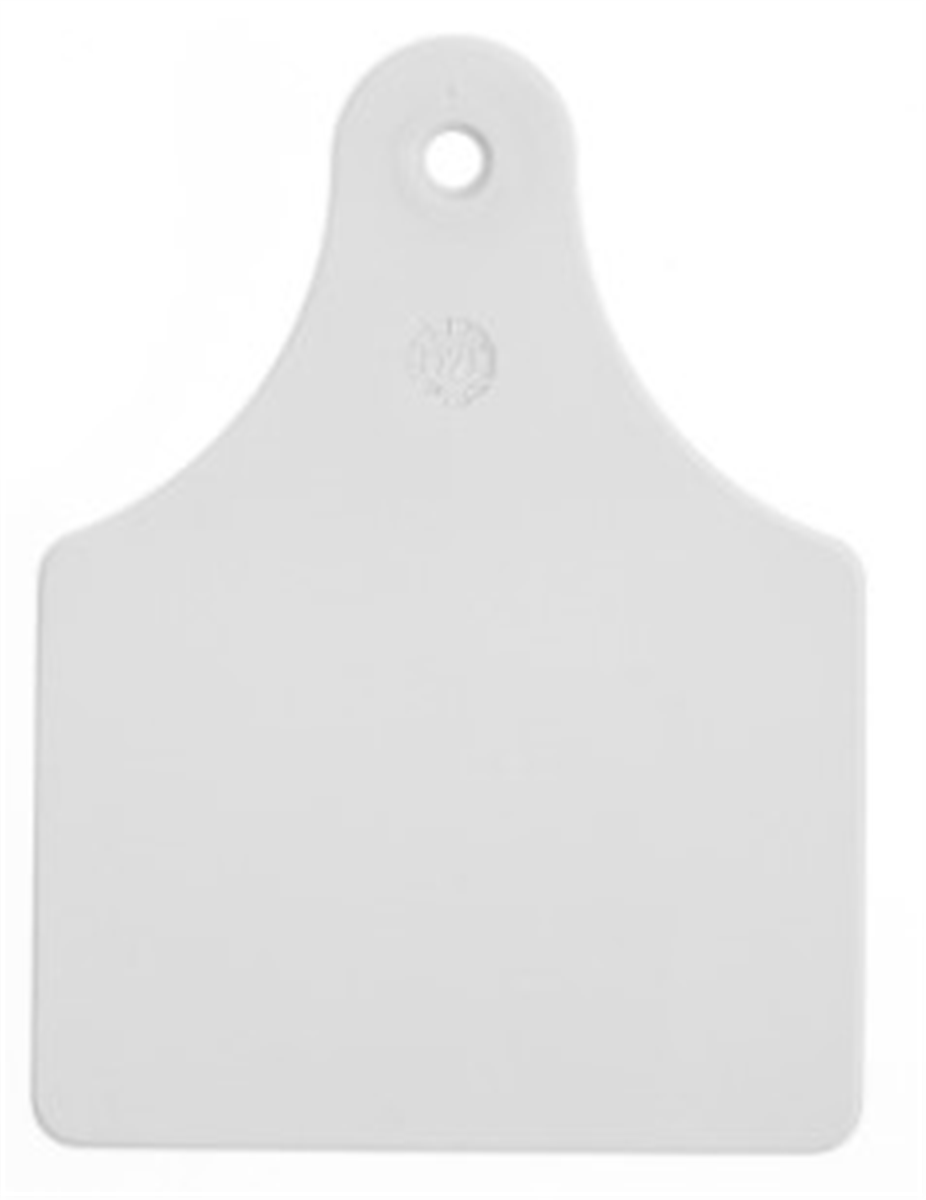 Allflex Female - Maxi - White – Yolla Co-Op