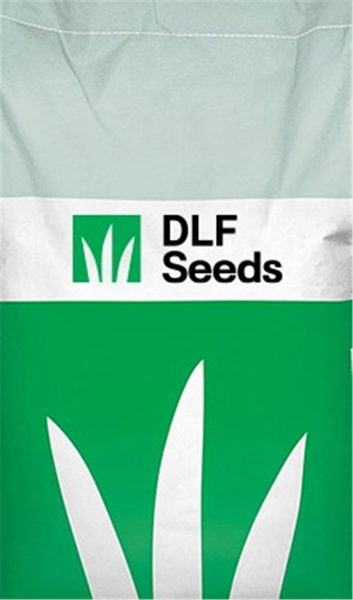 Seed Blend Perennial - Yolla High Performance per kg - DLF – Yolla Co-Op
