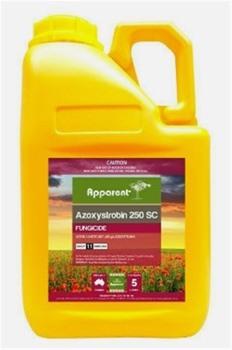 Apparent Azoxystrobin 250SC 5ltrs – Yolla Co-Op