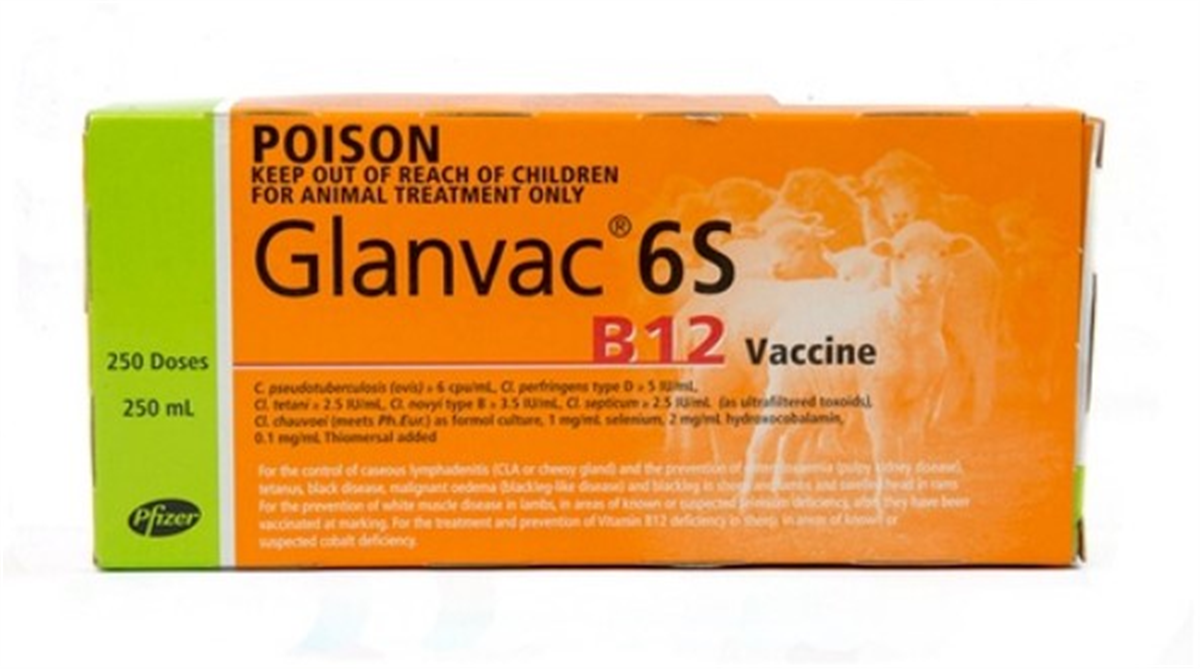 Zoetis Glanvac 6S with B12 500ml – Yolla Co-Op